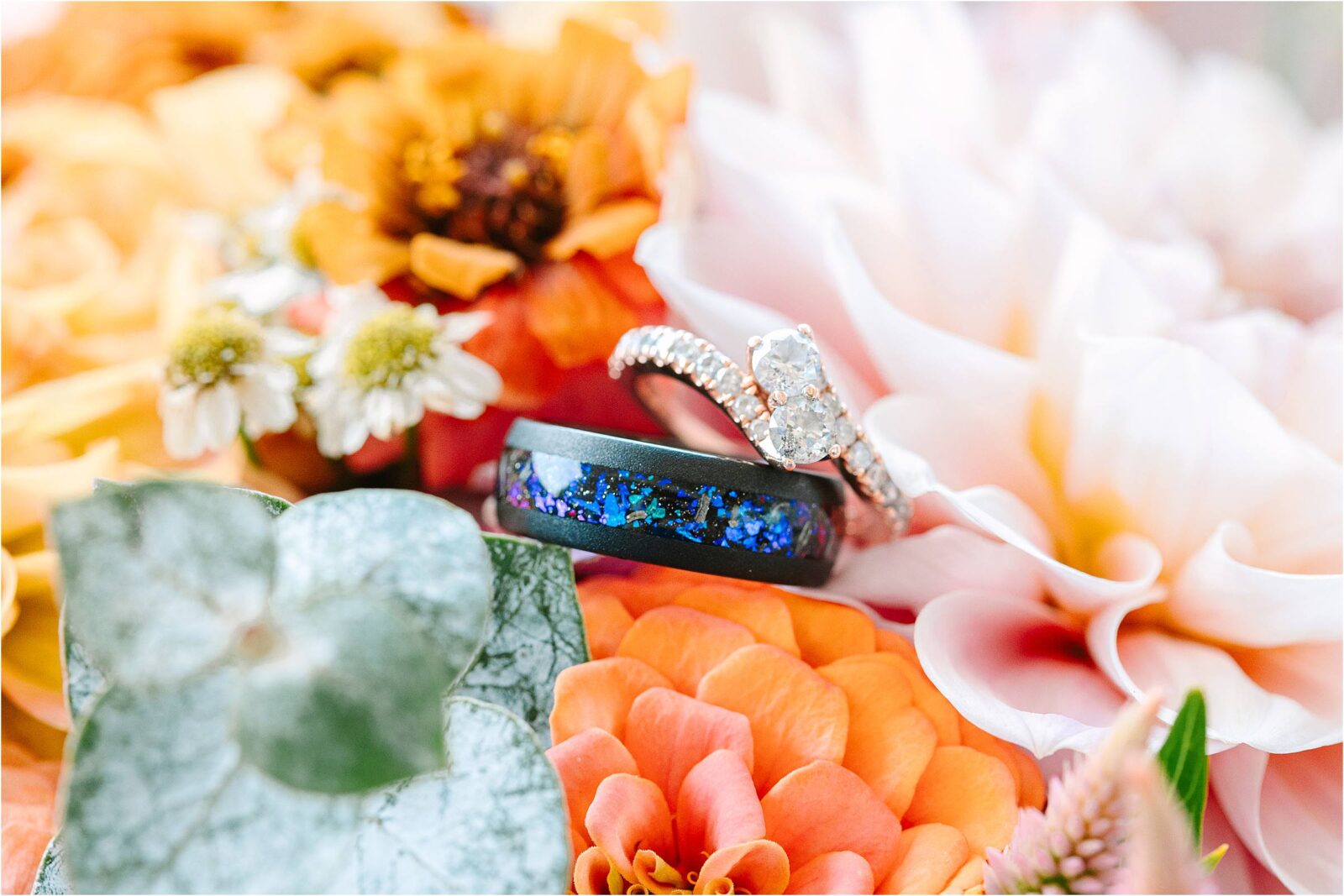 Traverse City Michigan Wedding | Cassandra & Larry - Stephanie Parshall ...